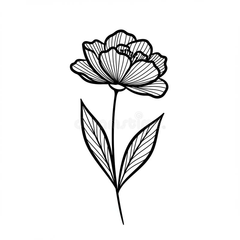 Art Vein Line Black White Plant Stock Illustrations – 1,061 Art Vein ...