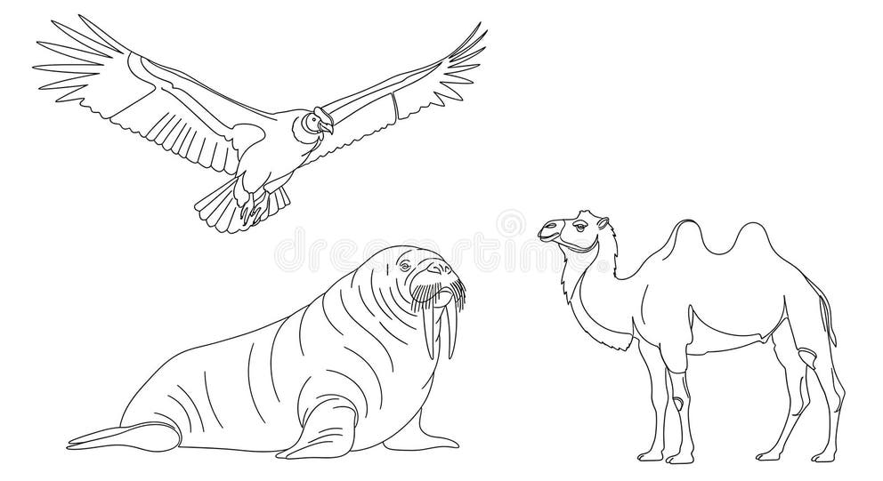 Camel Eagle Stock Illustrations – 737 Camel Eagle Stock Illustrations, Vectors & Clipart ...