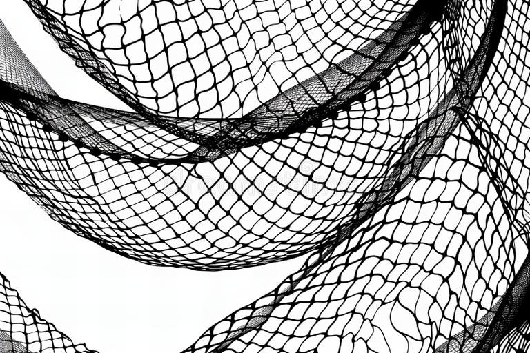 Line Drawing Fish Stock Illustrations – 70,311 Line Drawing Fish Stock ...