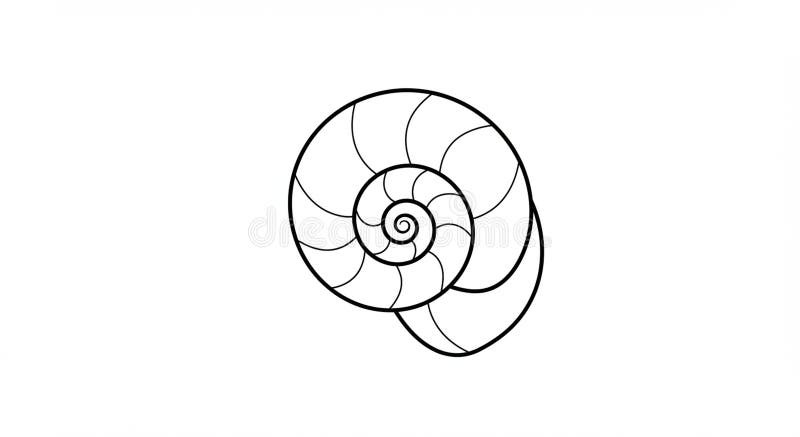 Shell Continuous Line Stock Illustrations – 777 Shell Continuous Line ...