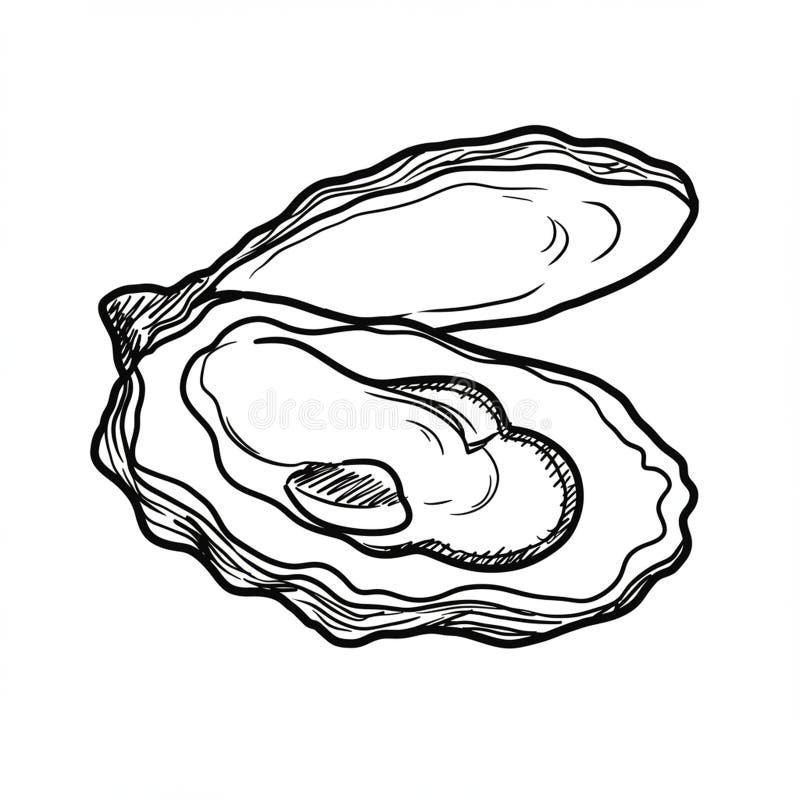 Black and White Line Drawing of an Open Oyster. the Shell Features Wavy ...