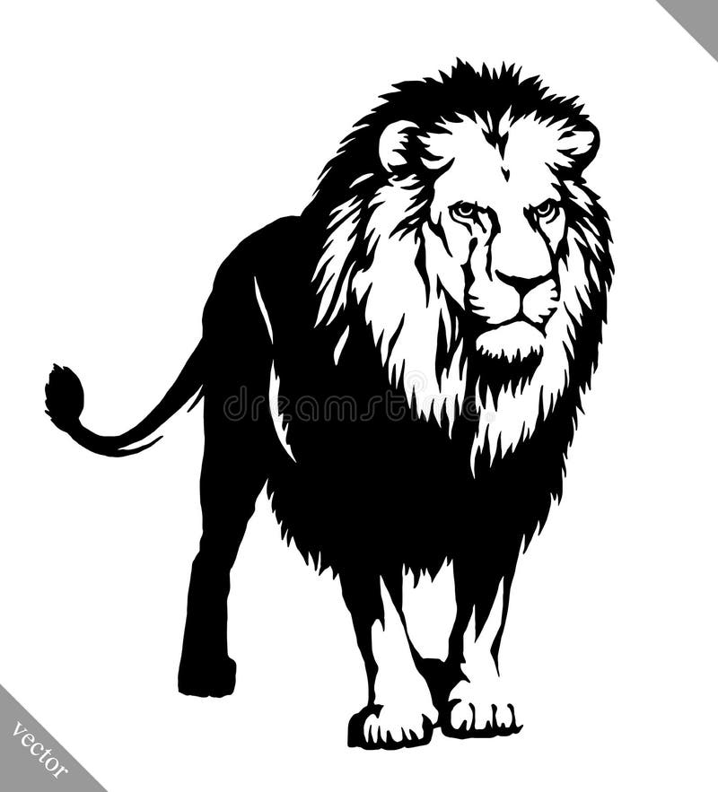 Black and White Linear Paint Draw Lion Vector Illustration Stock Vector ...