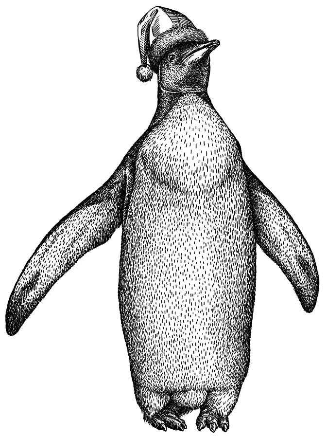 Black and White Linear Paint Draw Penguin Illustration Stock ...