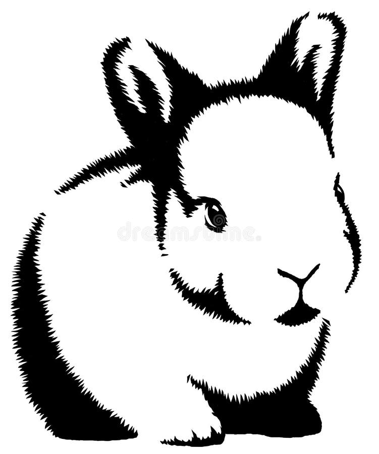 Black and White Linear Paint Draw Rabbit Illustration Stock ...