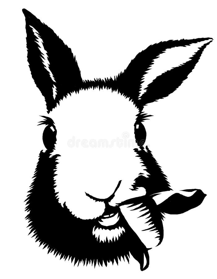 Black and White Linear Paint Draw Rabbit Illustration Stock ...