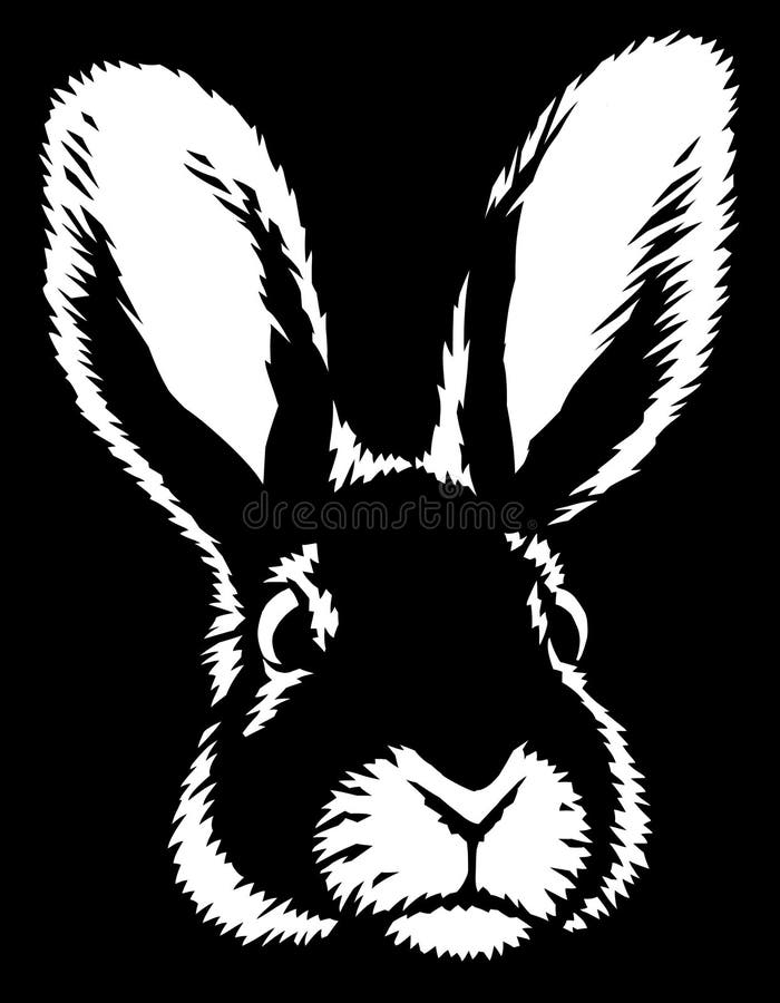 Black and White Linear Paint Draw Rabbit Illustration Art Stock ...