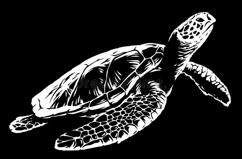 Black and White Linear Paint Draw Turtle Illustration Art Stock ...
