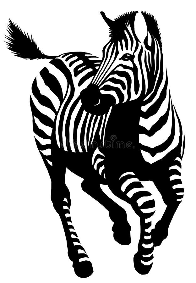 Black and White Linear Paint Draw Zebra Illustration Stock Illustration ...