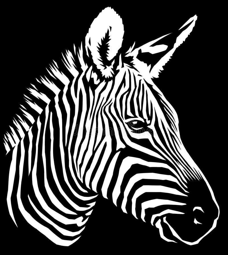Black and White Linear Paint Draw Zebra Illustration Art Stock ...