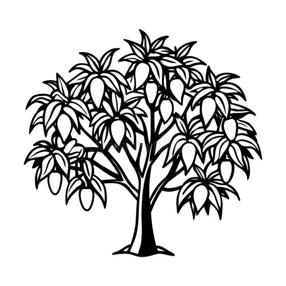 Black and White Mango Tree Graphic Illustration Stock Vector ...