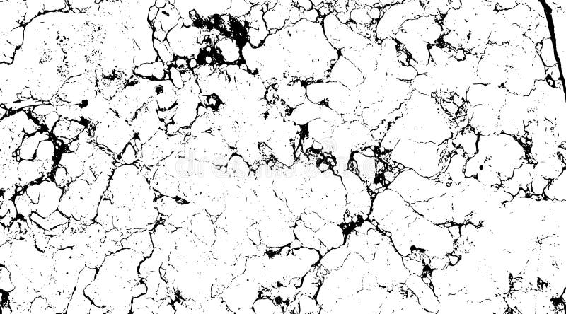 Black and White Marble Stone Vector Texture Stock Illustration ...
