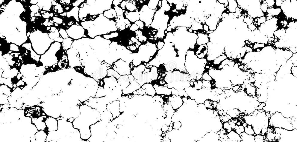 Black and White Marble Stone Vector Texture Stock Vector - Illustration ...