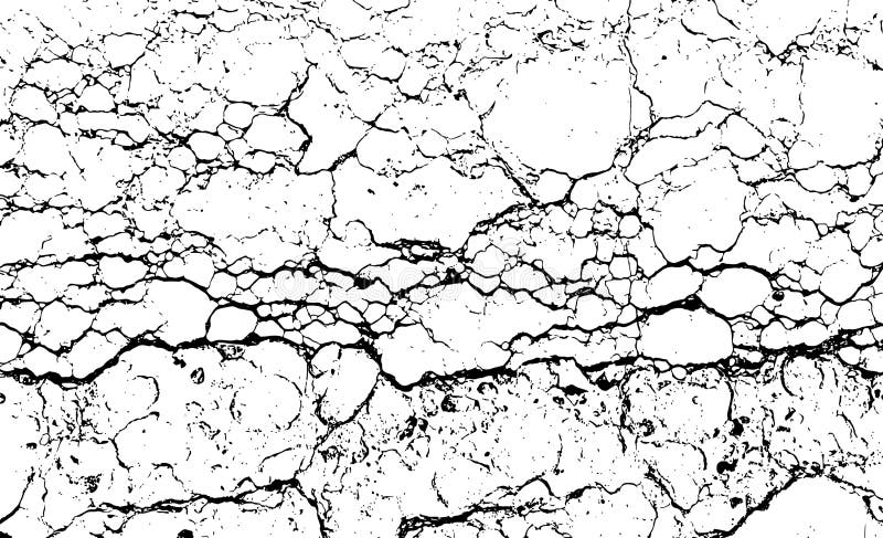 Black and White Marble Texture Design with Curved Lines. Stock Vector ...