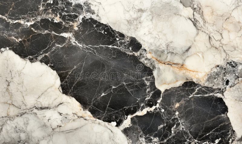 Black and White Marble Texture with Intricate Veining and Natural ...