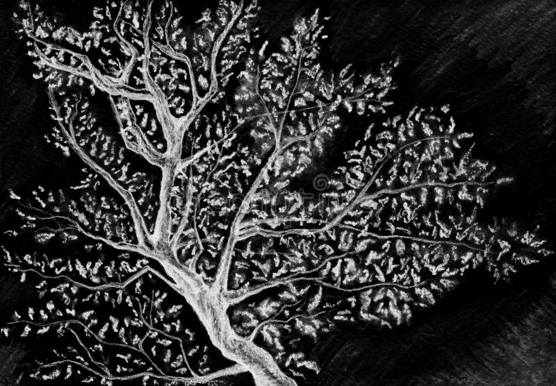 Monochrome Tree Silhouette Vector Sketched Line Art Isolated Stock ...