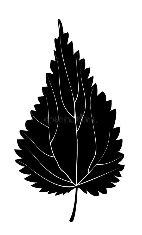 Nettle Leaf Icon Stock Illustrations – 226 Nettle Leaf Icon Stock ...