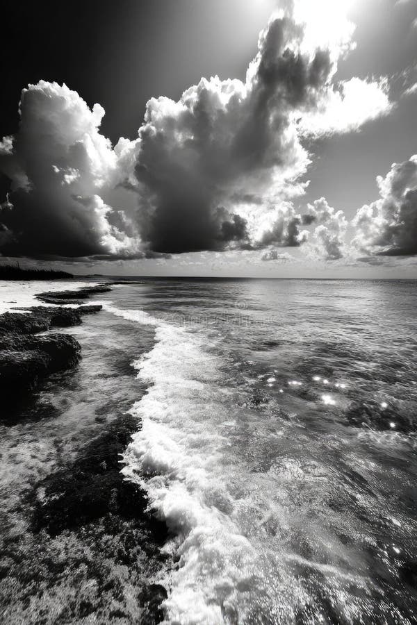 Black and White Ocean stock image. Image of coast, white - 373299037
