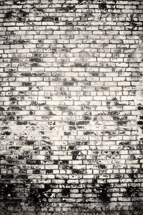 Black and White of Old Vintage Brick Wall Stock Photo - Image of ...