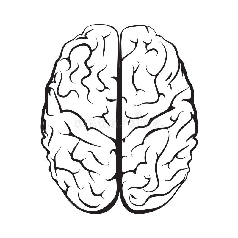 Black and White Outline Brain Mark from Top View. Stock Vector ...