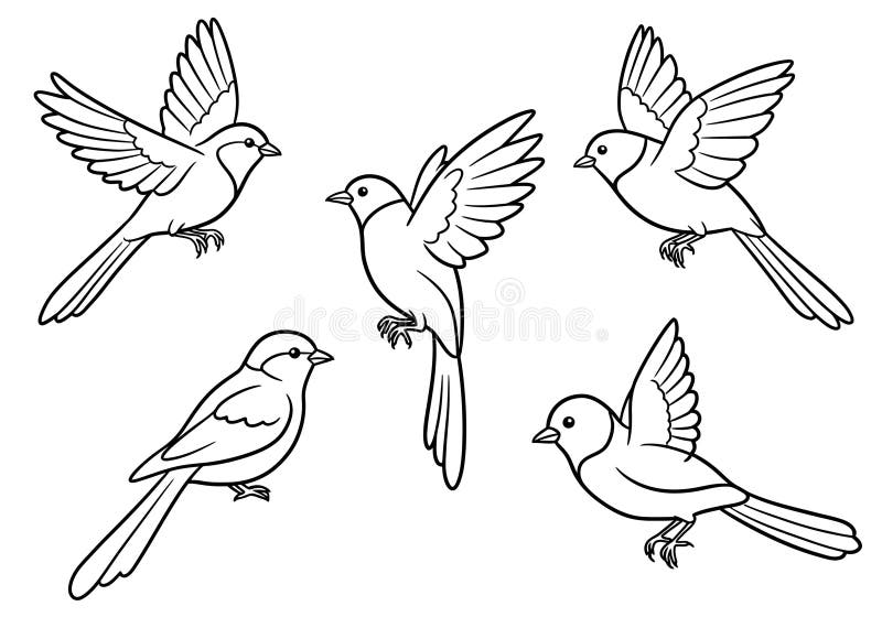 Five birds drawing stock vector. Illustration of handdrawn - 383708267