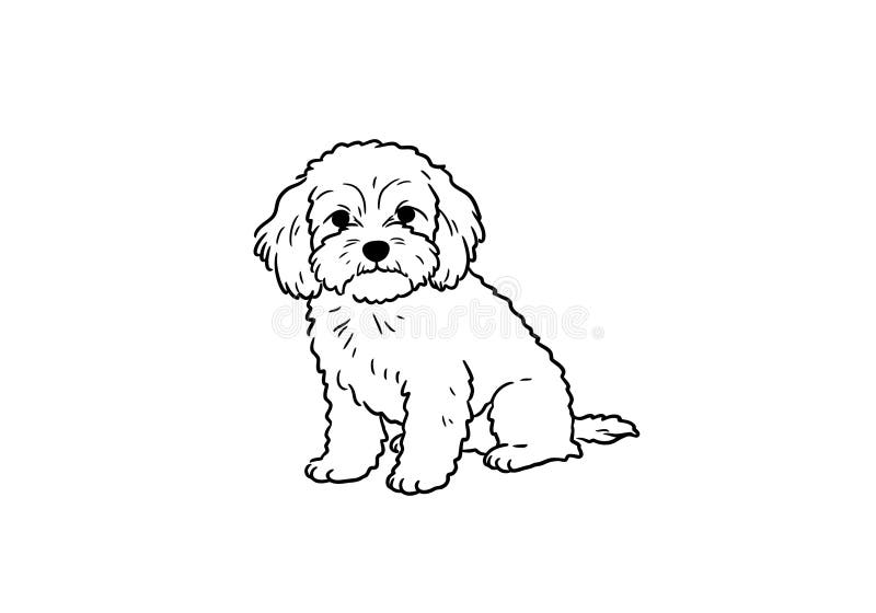 Cavapoo Stock Illustrations – 379 Cavapoo Stock Illustrations, Vectors ...