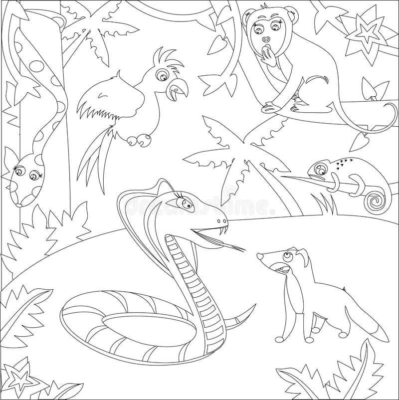 Mongoose Coloring Stock Illustrations – 77 Mongoose Coloring Stock ...