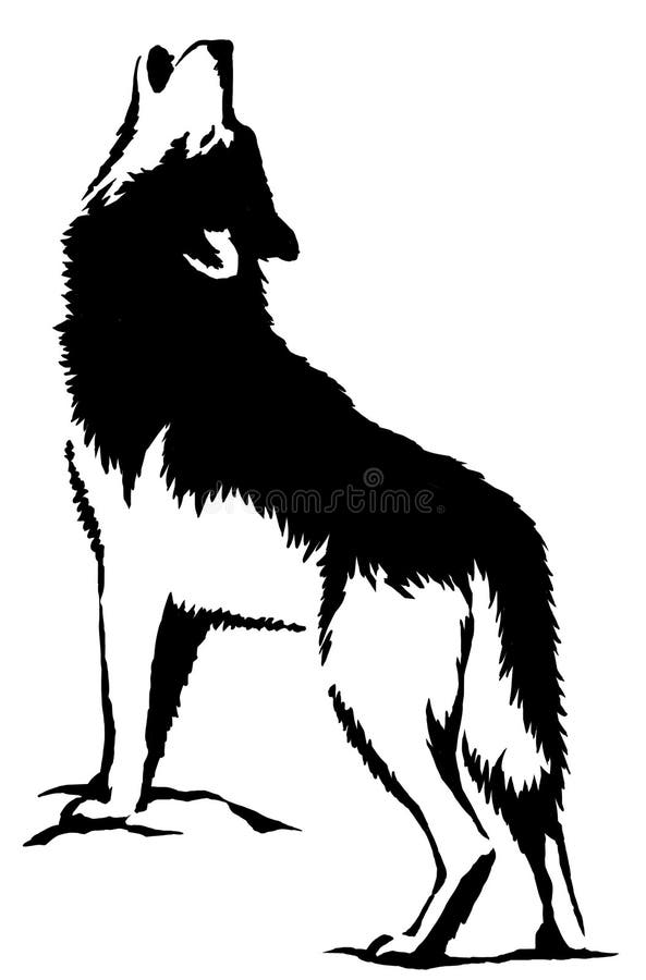 Black and White Paint Draw Wolf Illustration Stock Illustration ...