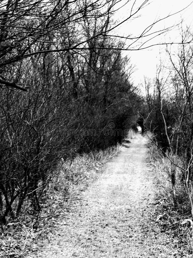 Black and white path stock photo. Image of white, black - 202670322