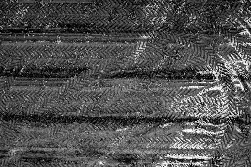 Black and White Pattern of Overlapping Tractor Tire Tracks on ...