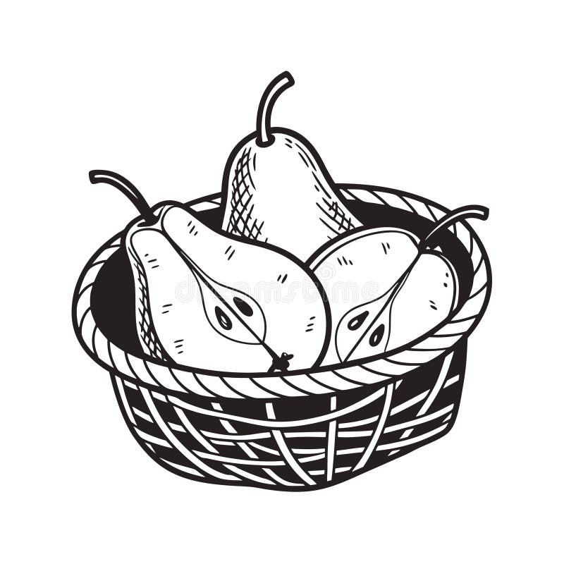 Black and White Pears in a Basket Illustration Stock Illustration ...