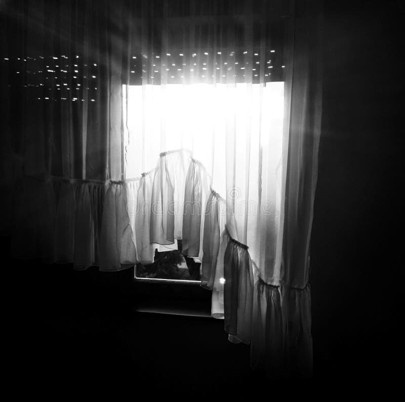 973 Breaking Light Window Stock Photos - Free & Royalty-Free Stock ...