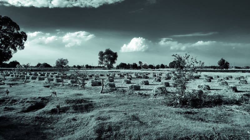 A Black and White Photo of a Farm Field Stock Image - Image of trees ...