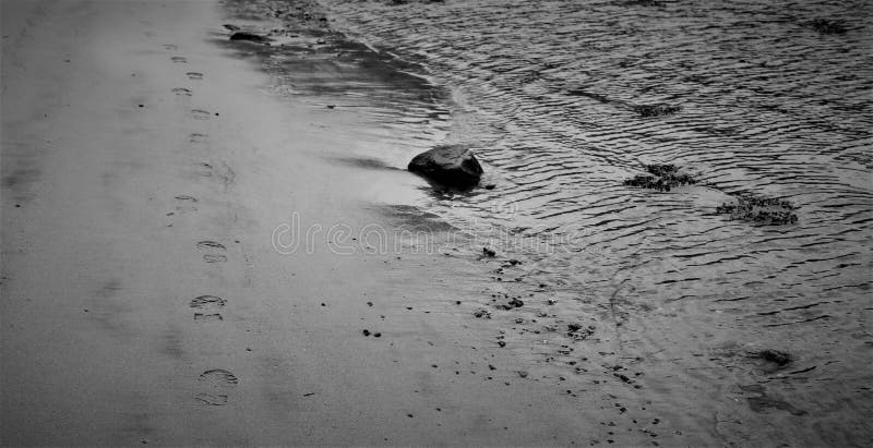 126 Stranger Beach Stock Photos - Free & Royalty-Free Stock Photos from ...