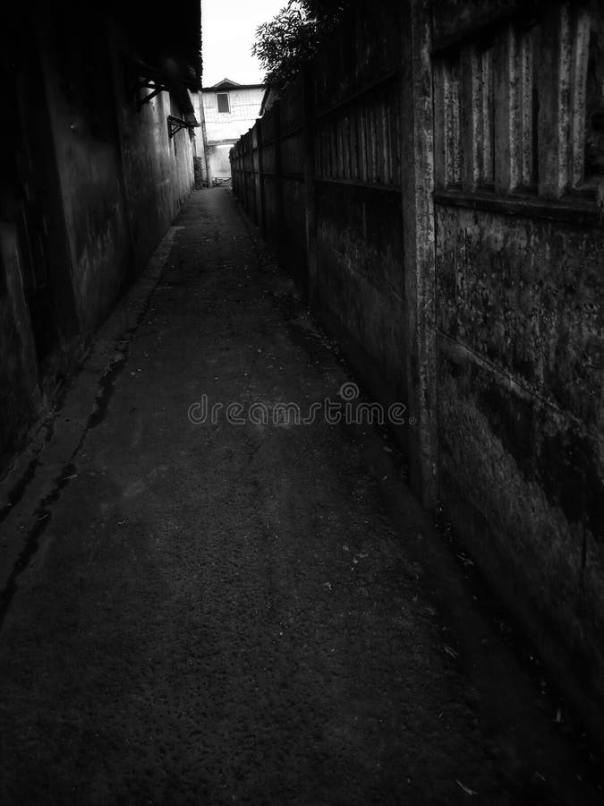 Black and White Photo of Paved Alley Road Stock Image - Image of wall ...