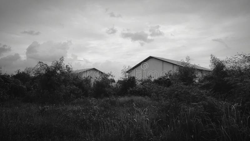 Black and White Photo of Warehouse Near Forest Stock Photo - Image of ...