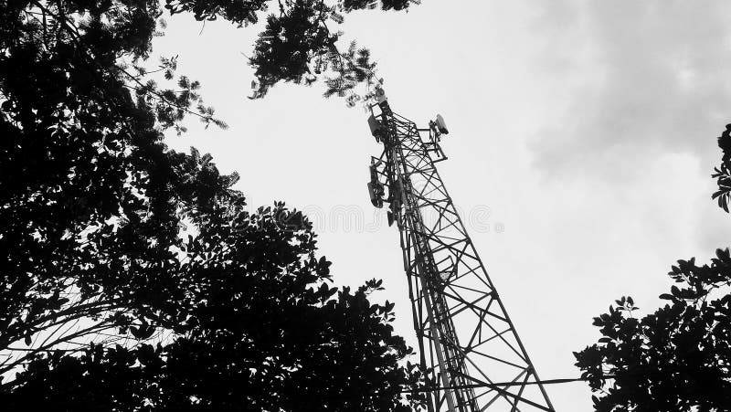 Black and White Picture of Cellular Tower Seen from Below and Stock ...
