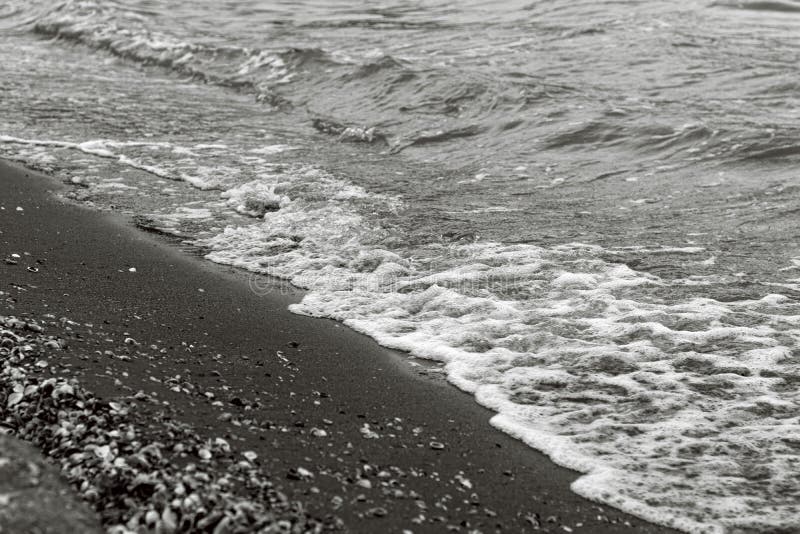 Black and White Picture of Ocean Waves on the Beach with Shells Stock ...