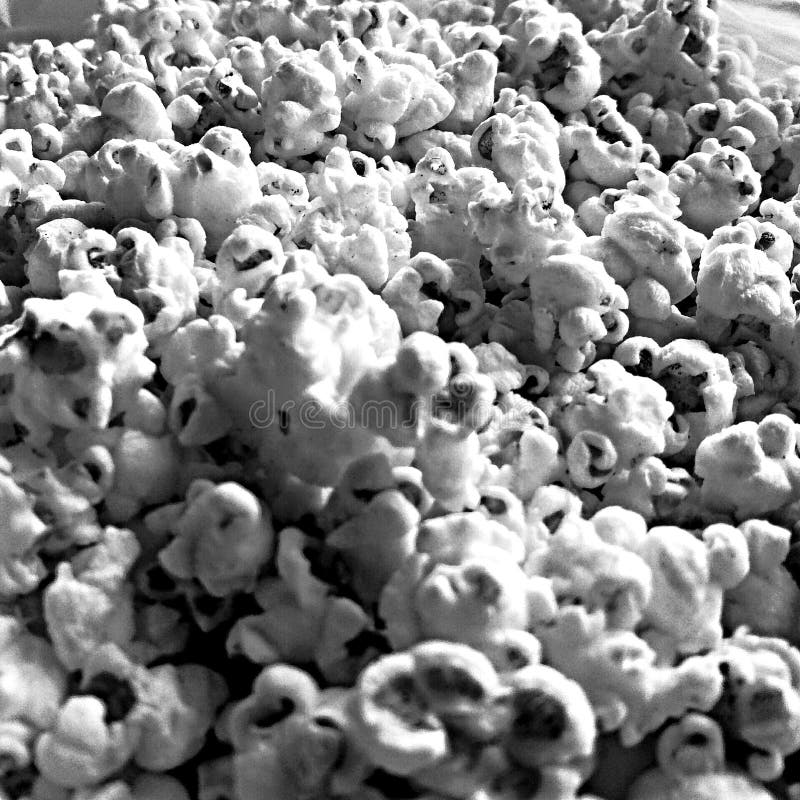 Black and White Picture of Pop Corn Kernels Stock Image - Image of ...