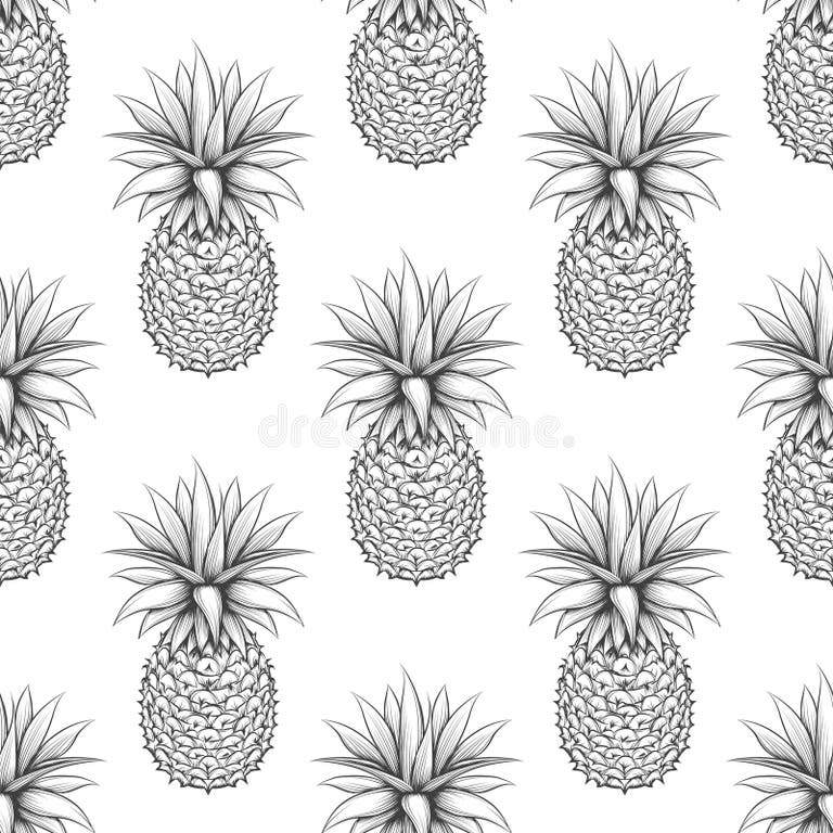 Pineapple Black White Stock Illustrations – 9,217 Pineapple Black White ...