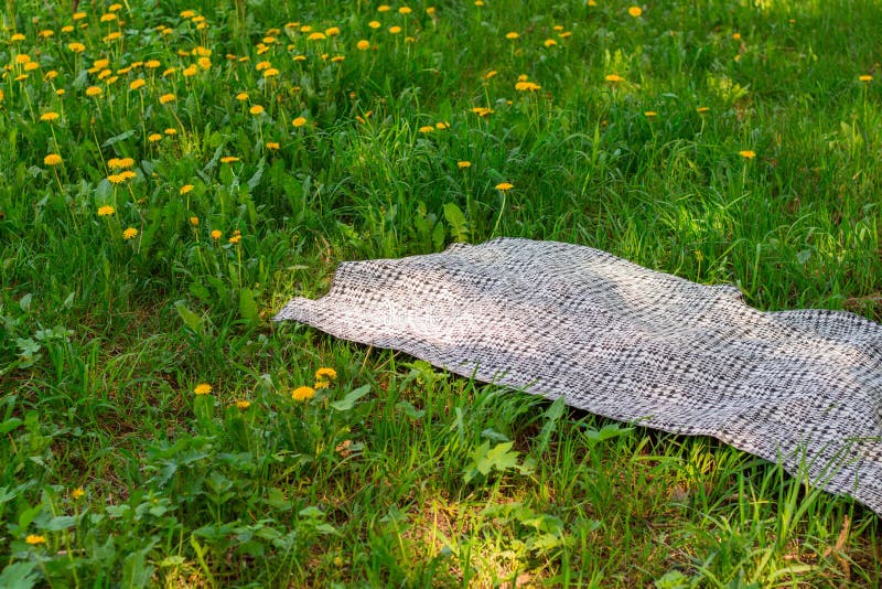 Plaid for Picnic on Green Grass Stock Image - Image of horizontal ...
