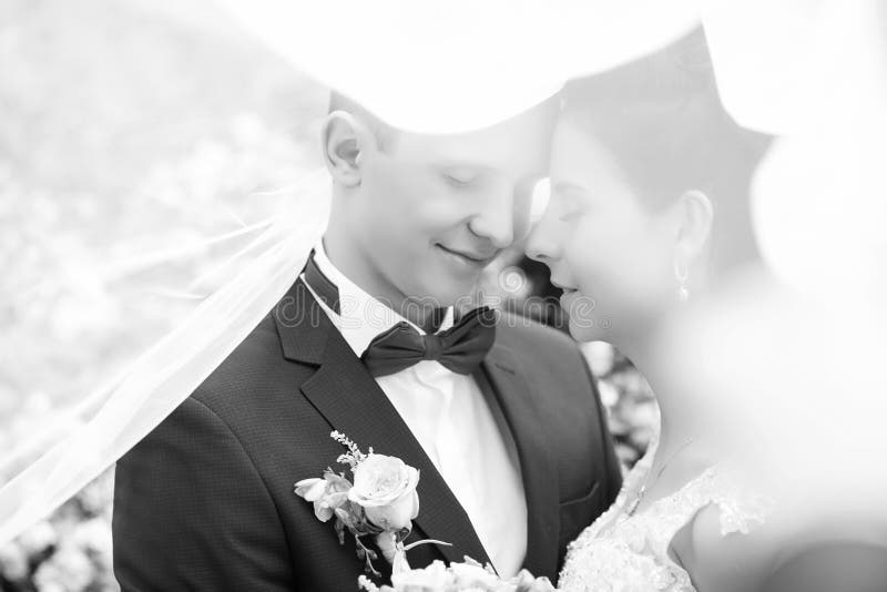 Black and White Portrait of Groom and Bride. Covered with Veil Stock ...