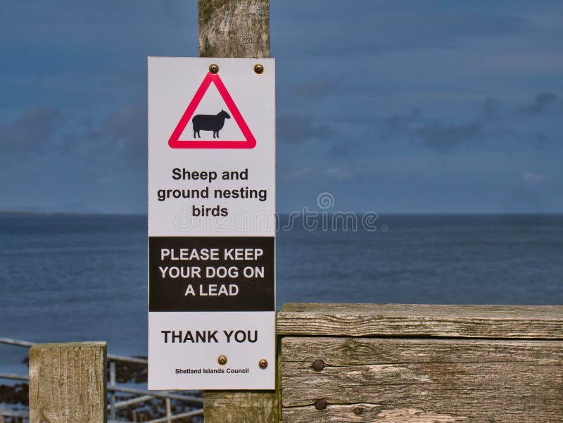 Sheep Worrying Stock Photos - Free & Royalty-Free Stock Photos from ...