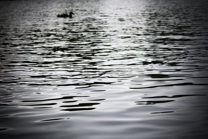 Black and White Reflections Stock Photo - Image of ocean, white: 191839938