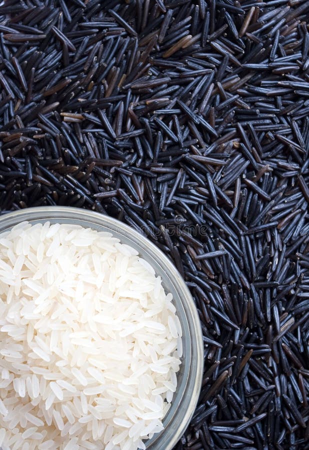 Black and white rice stock photo. Image of agriculture - 11260340