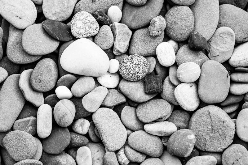 Black And White River Rocks Background Stock Image Image Of White