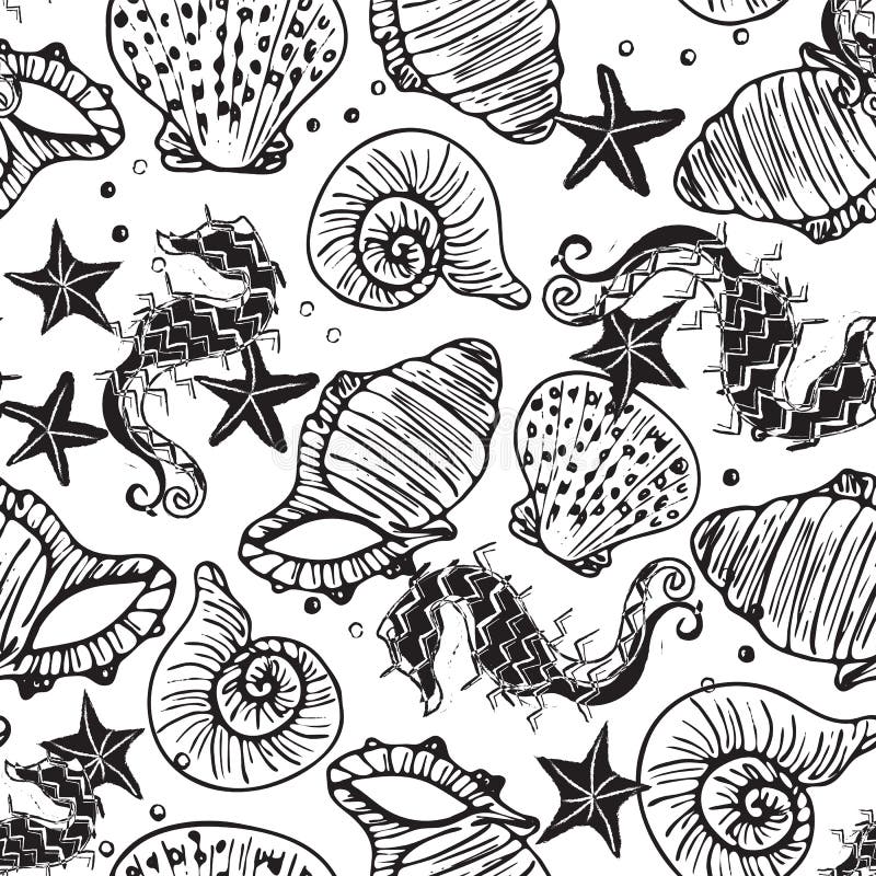 Seashell Black White Drawing Stock Illustrations – 3,024 Seashell Black ...