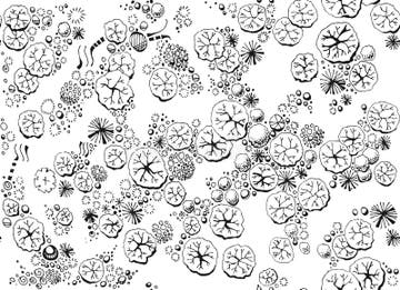 Trees Top View Black White Stock Illustrations – 865 Trees Top View ...