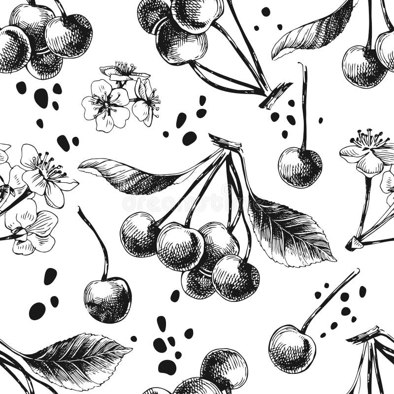 Seamless Pattern with Hand Drawn Cherries Stock Vector - Illustration ...