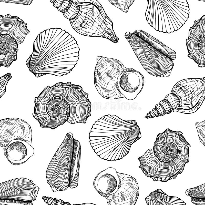 Black and White Seamless Pattern with Seashells. Hand Drawn Outline ...