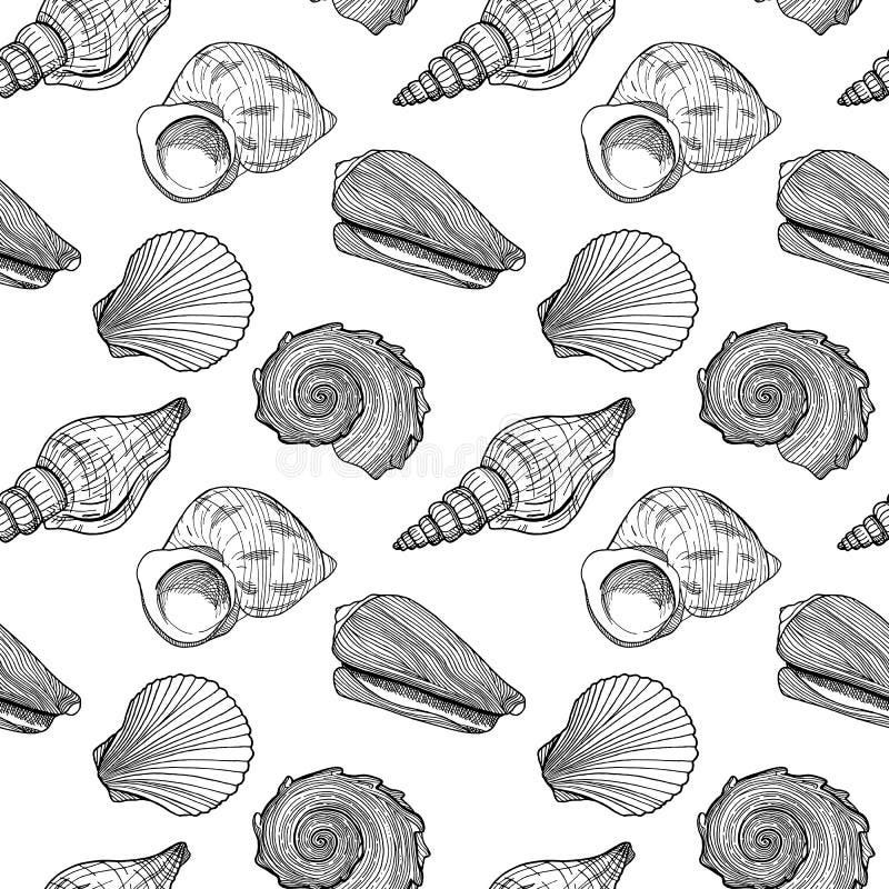 Black and White Seamless Pattern with Seashells. Hand Drawn Outline ...
